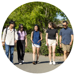 Stanford Summer Session